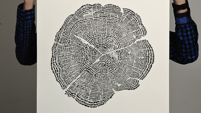 Optical illusion poster is a tree . . . until you examine it more ...